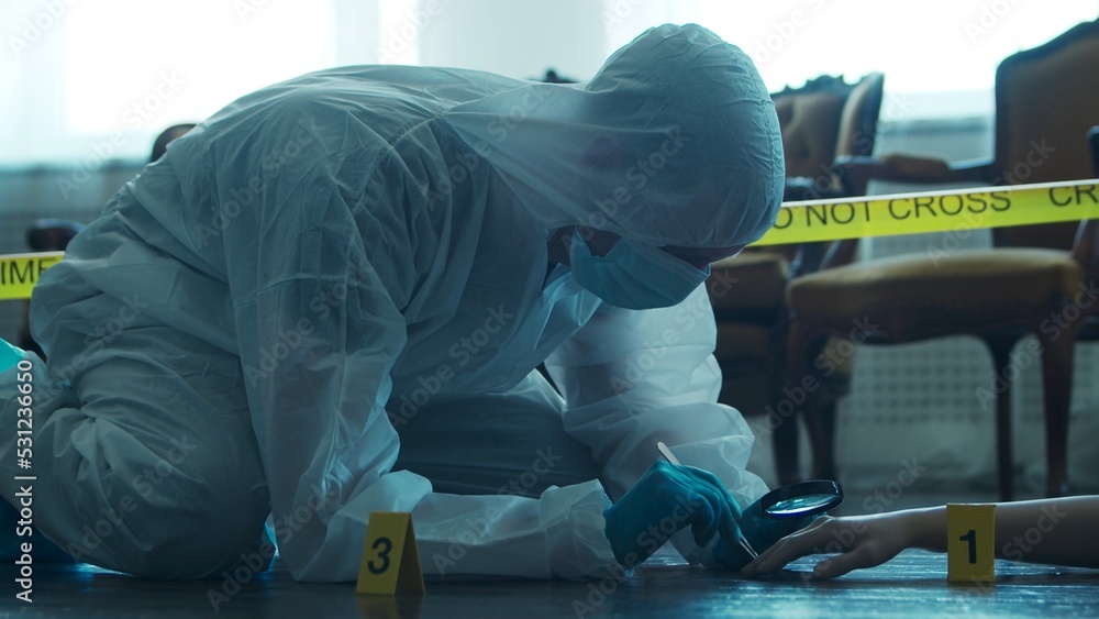 Detective Collecting Evidence in a Crime Scene. Forensic Specialists ...