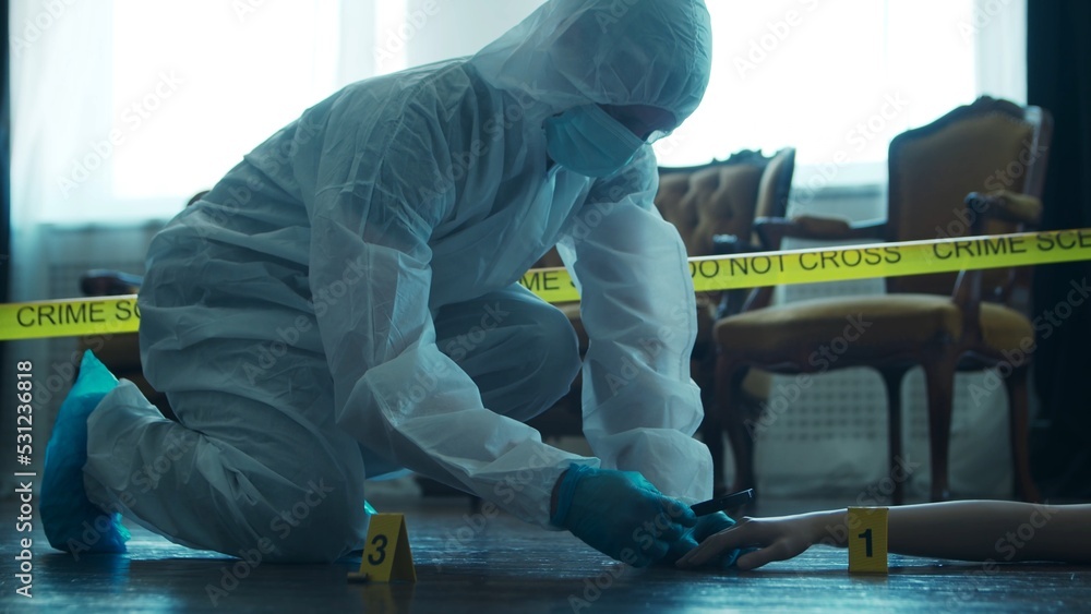 Detective Collecting Evidence in a Crime Scene. Forensic Specialists ...