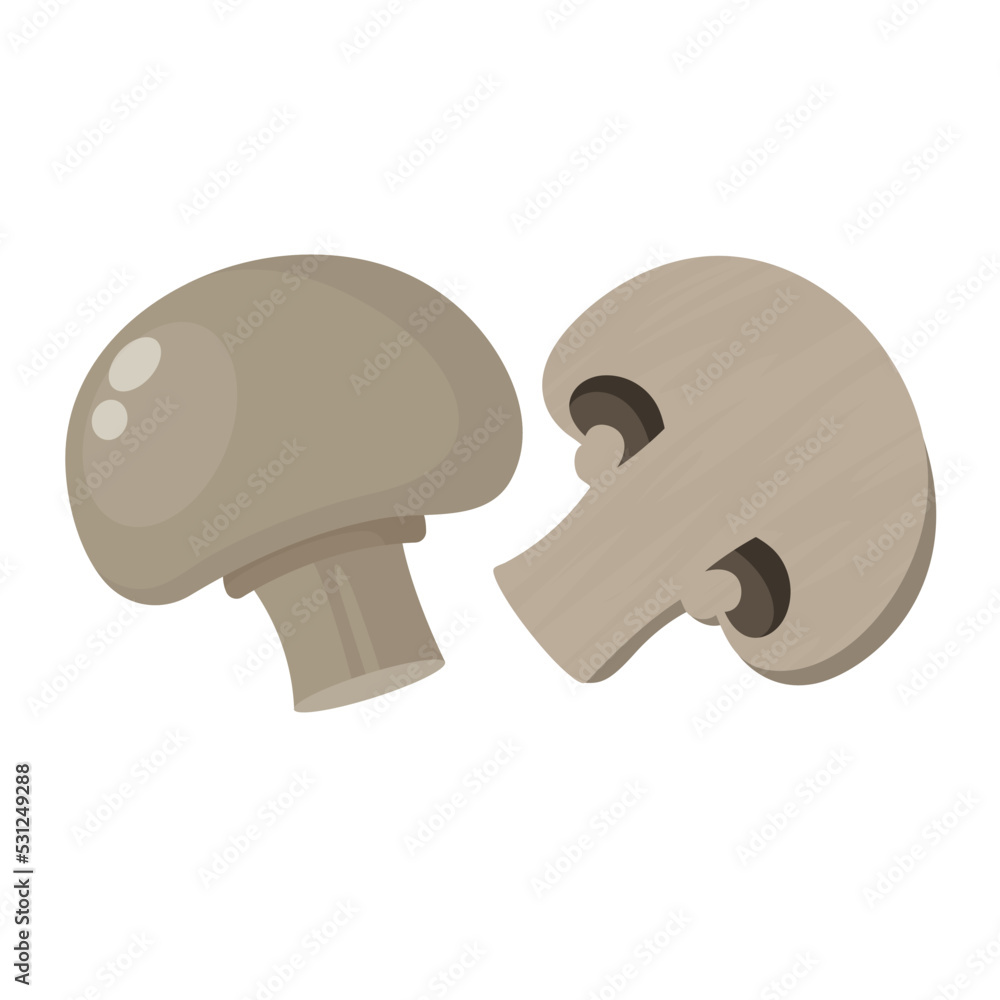 button mushroom flat vector illustration clipart isolated on white ...