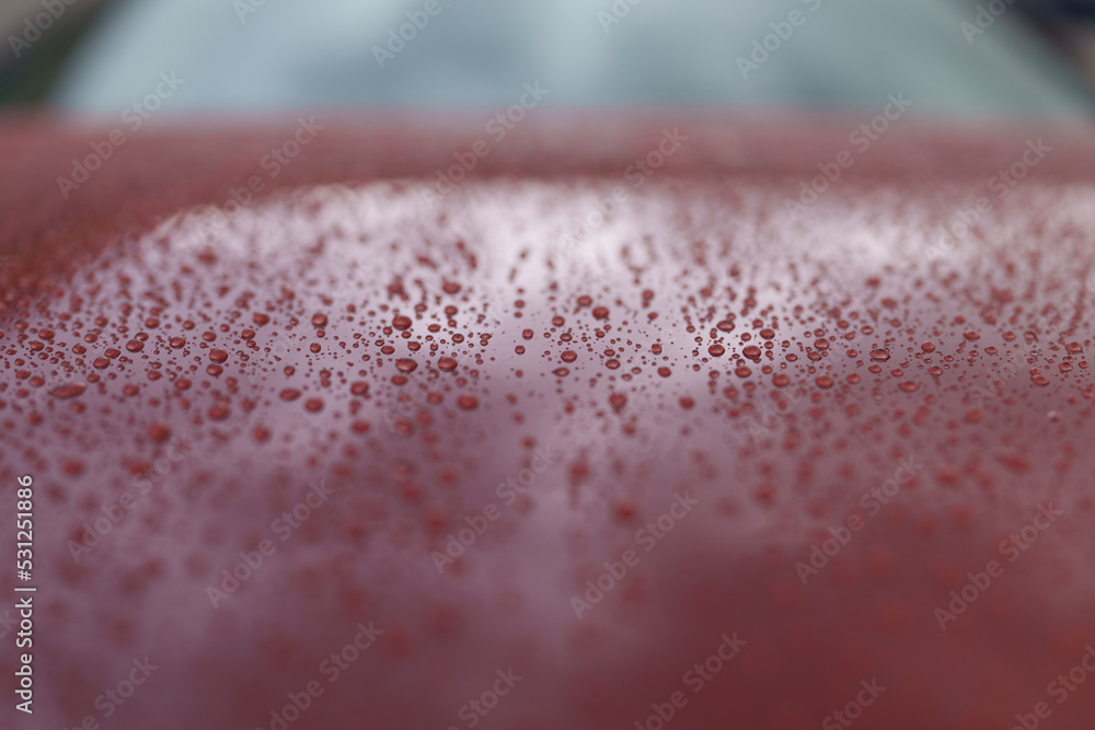 Wet red car with hydrophobic coating Stock Photo | Adobe Stock