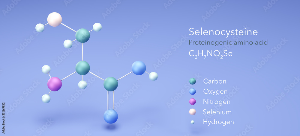 selenocysteine, molecular structures, proteinogenic amino acid, 3d ...