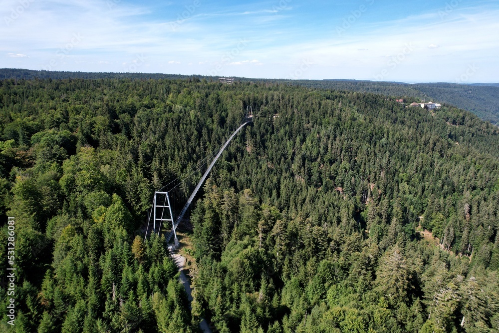 Bad Wildbad, Aussichtsturm des Baumwipfelpfad und Wildline Hängebrücke ...