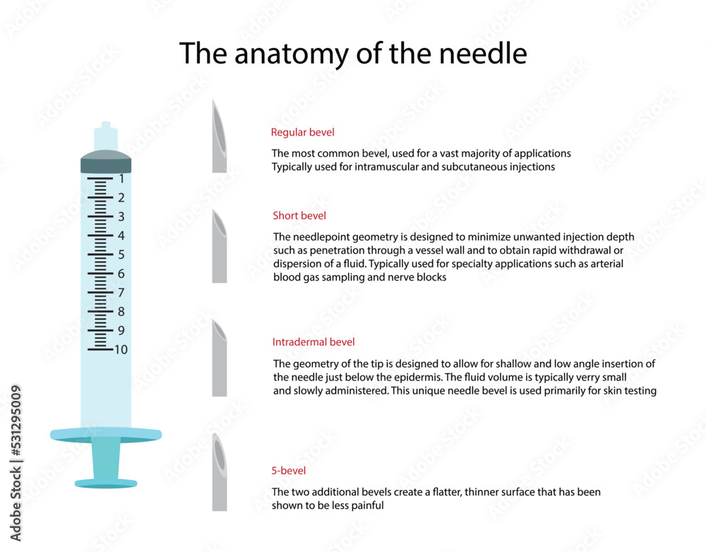 illustration of biology and medical, The anatomy of the needle, A ...