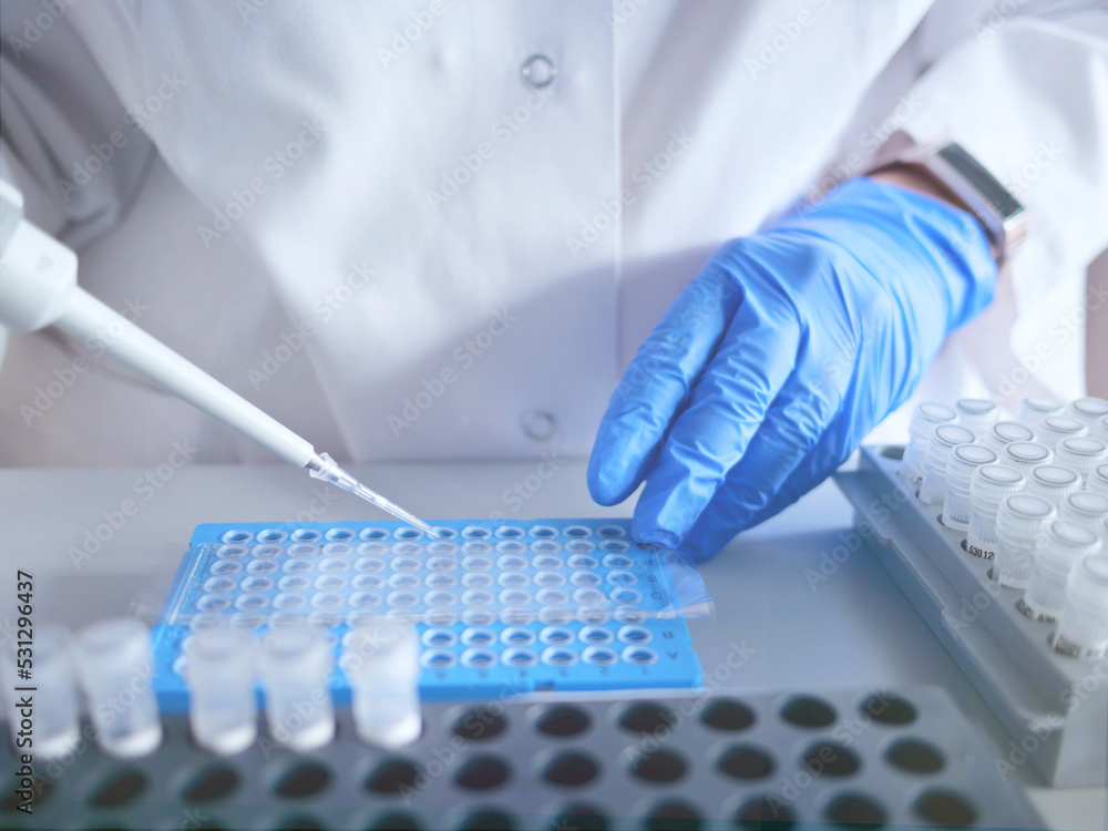 Foto Stock Laboratory scientist working at lab with micropipette, and ...