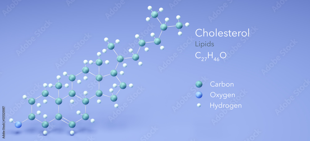 cholesterol, molecular structures, lipids, 3d model, Structural ...