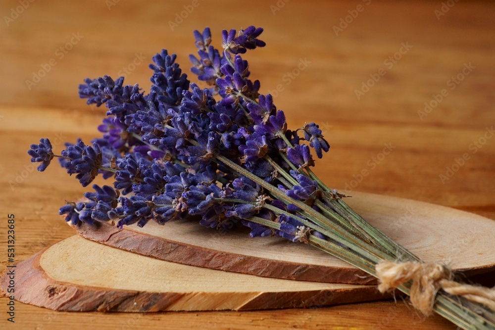 Medicinal herbs - lavender; Lavandula angustifolia Stock Photo | Adobe ...