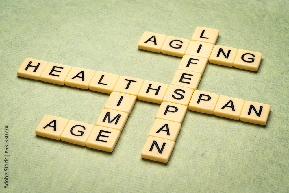 aging, time, lifespan and healthspan crossword in ivory letter tiles ...