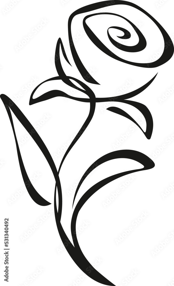 Rose flower with a stem isolated on a white background. Black and white ...