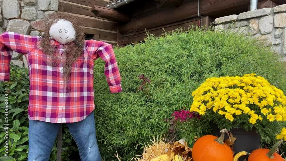 A scarecrow in a red plaid shirt stands with his tousled straw hair on ...
