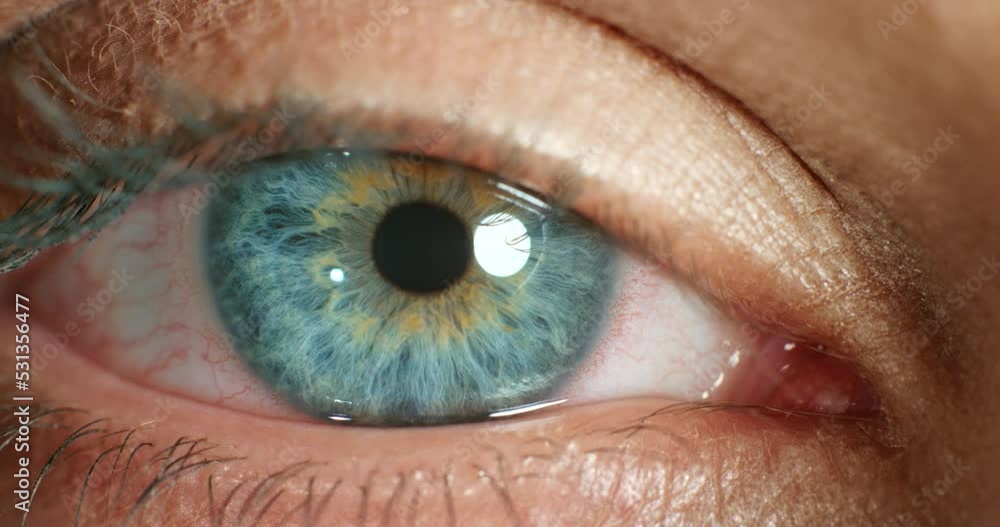 Woman, vision and blue eye in blink motion with face skin, texture and ...