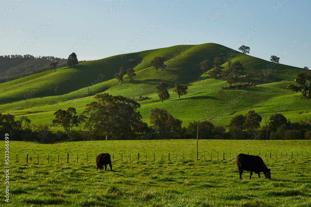 Foto de Beautiful Farming Country North Of Melbourne Victoria ...