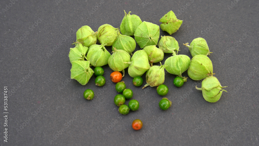 Ashwagandha Dry Root Medicinal Herb with Fresh Leaves, also known as ...