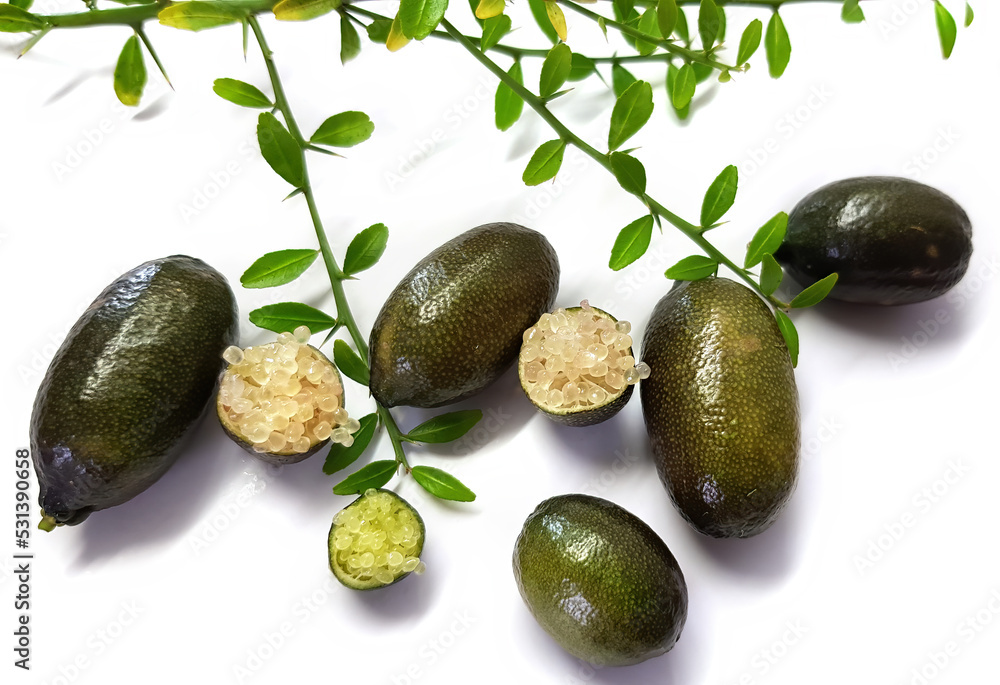Edible fruits of Citrus australasica, the Australian finger lime or ...