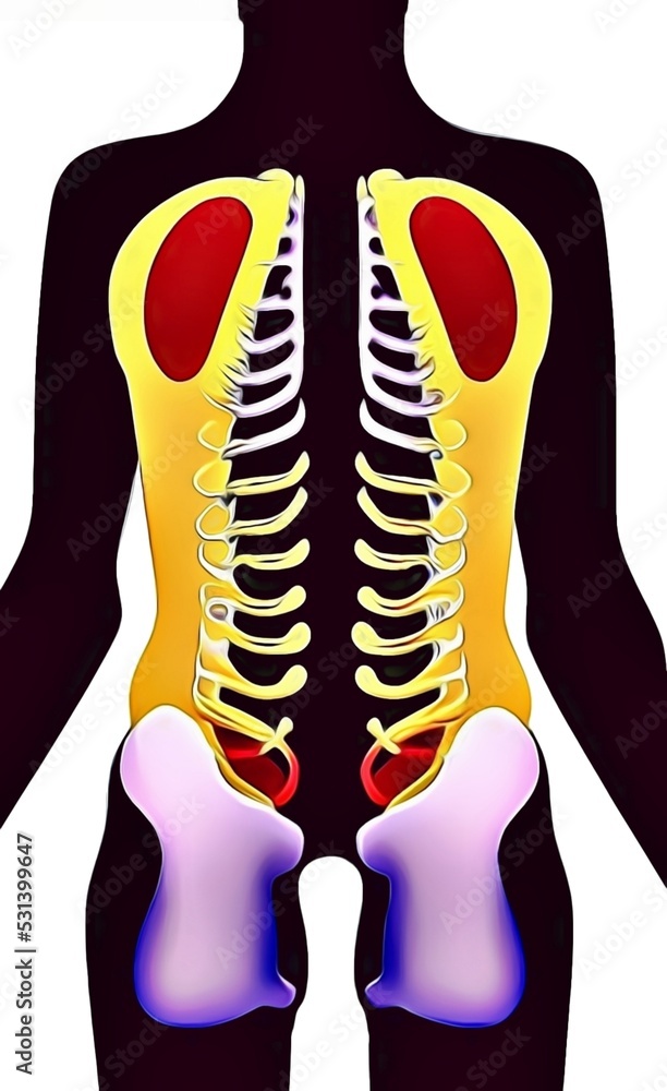 Illustration of the anatomy of a human body seen in a surreal and ...