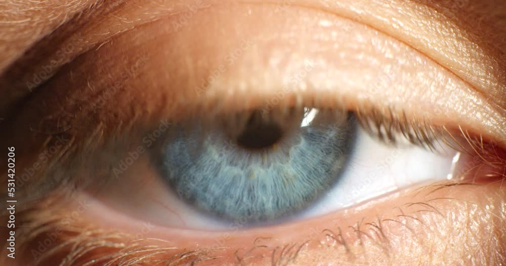Blue eye, blink and iris in vision, eyesight and awareness for human ...