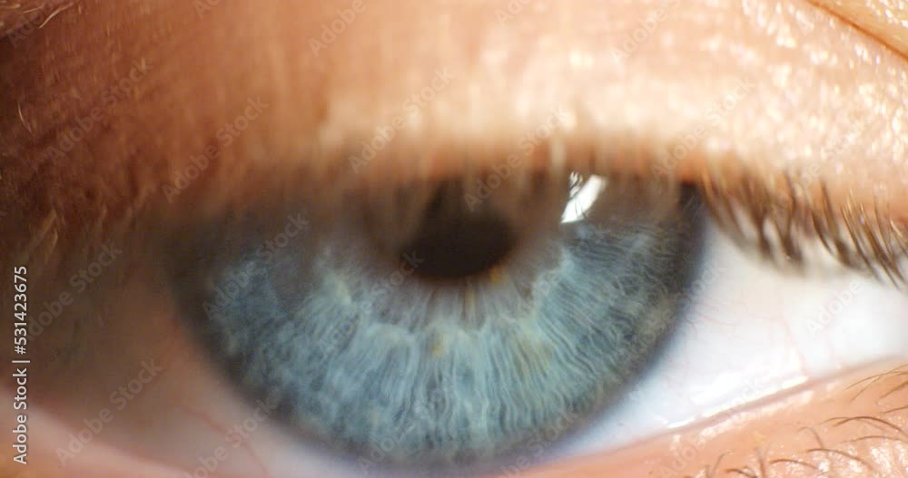 Blue color eyes and focus, vision and contact lenses to see, eye care ...