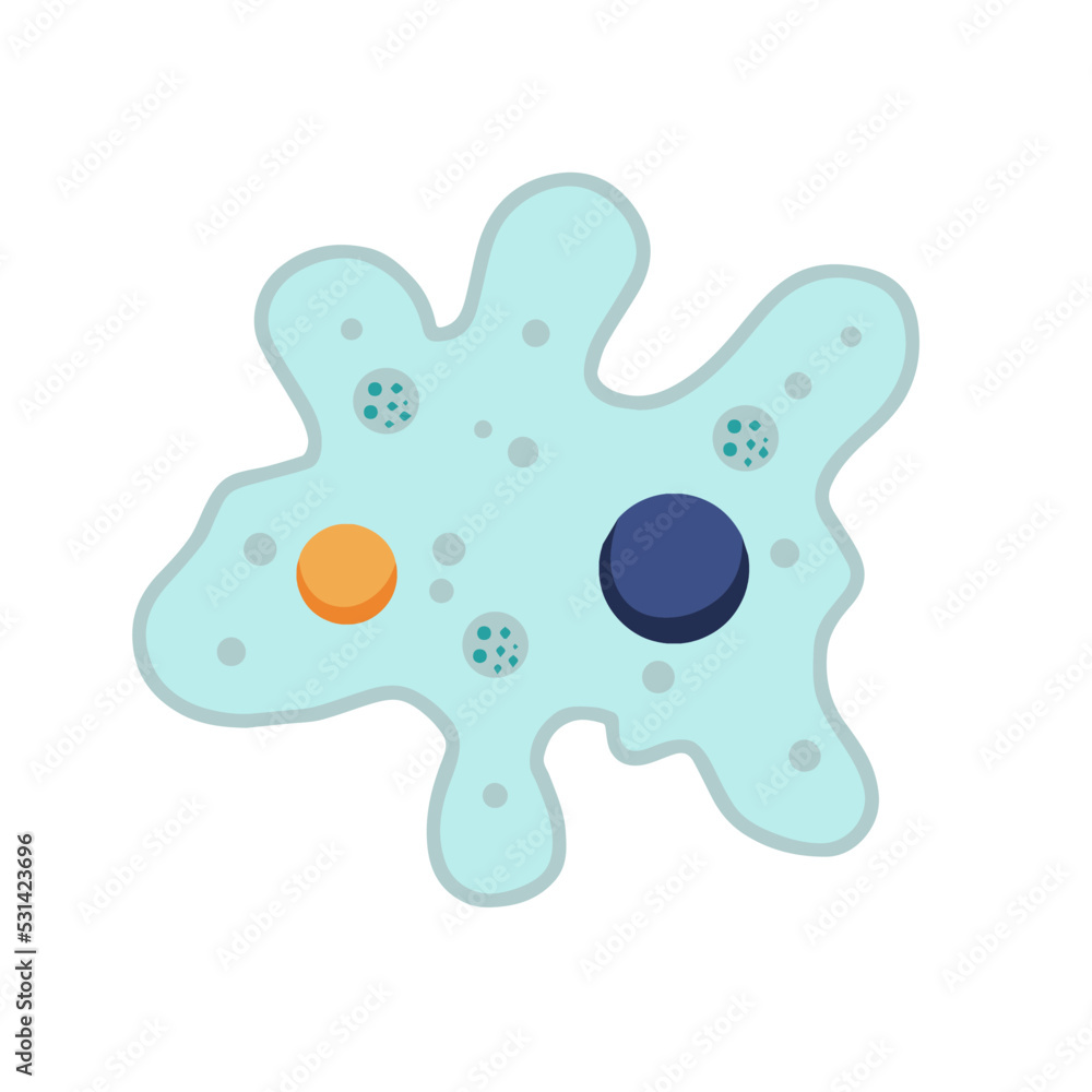 Amoeba cell. Small unicellular animal. Stock Vector | Adobe Stock