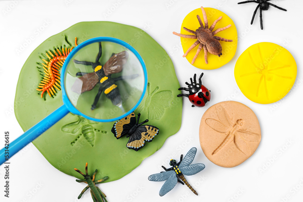 Educational game with Bug Fossils made with play dough. Fine motor ...
