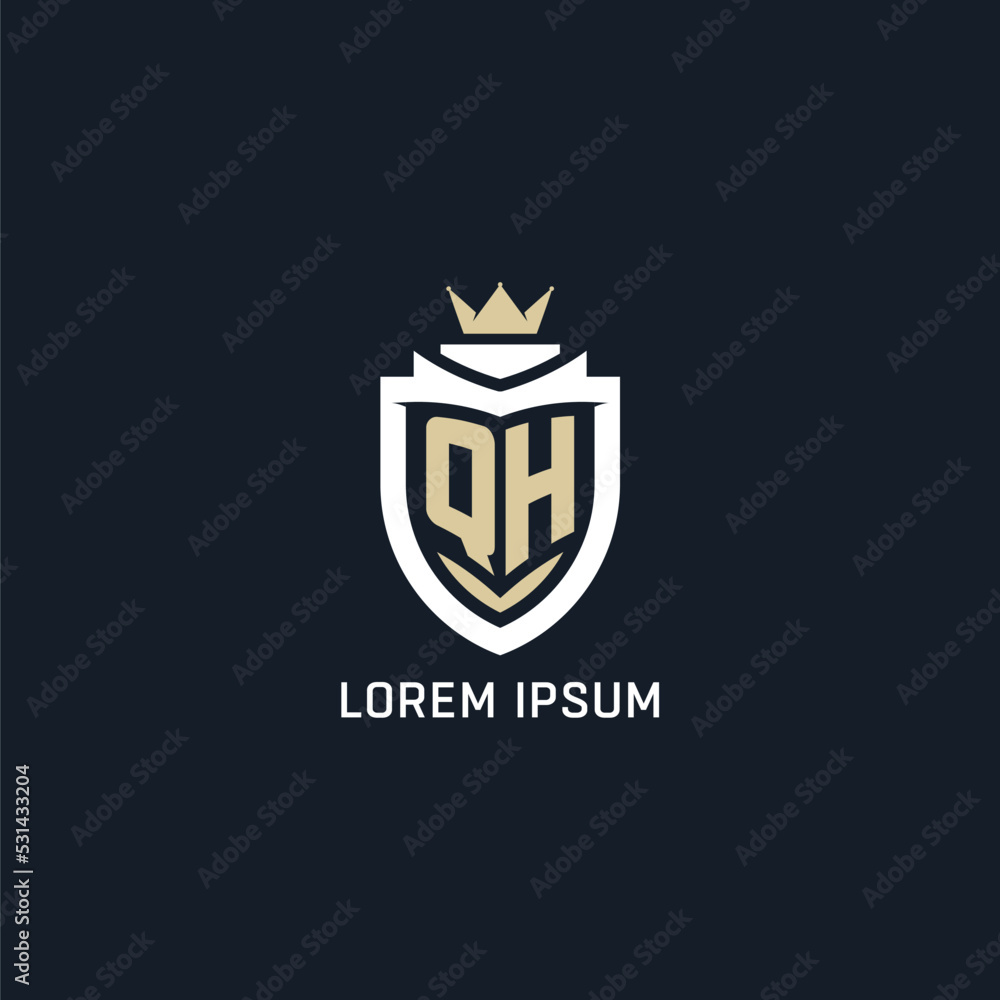 Initial letter QH shield and crown logo style, esport team logo design ...