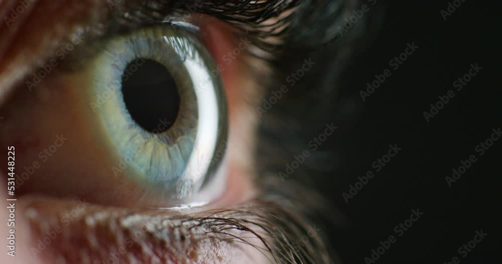 Green eye, close up and vision focus with studio background for ...