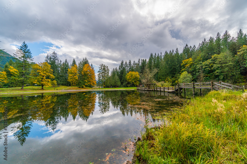 Autumn forest on the riverside, marvel at amazing views of the Silver ...