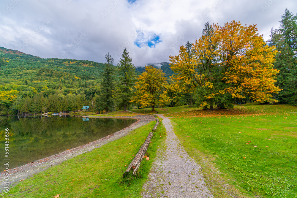 Autumn forest on the riverside, marvel at amazing views of the Silver ...
