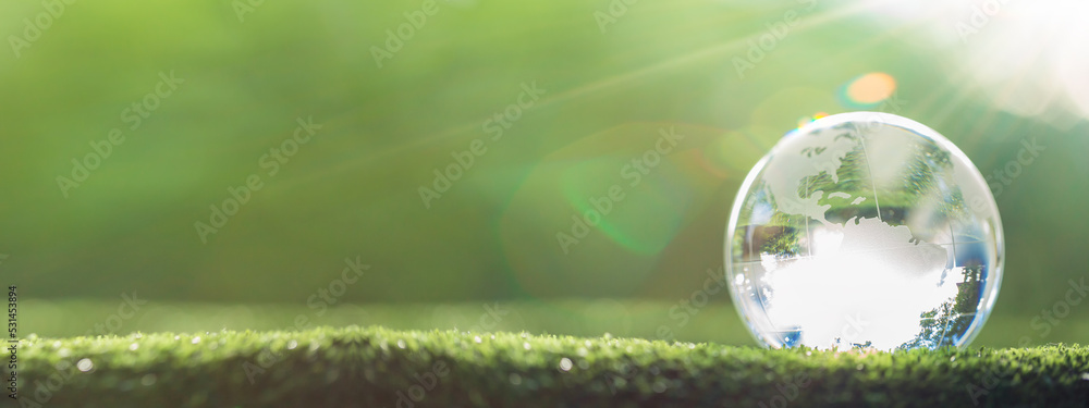 Globe planet glass In green forest with bokeh nature lights. world ...