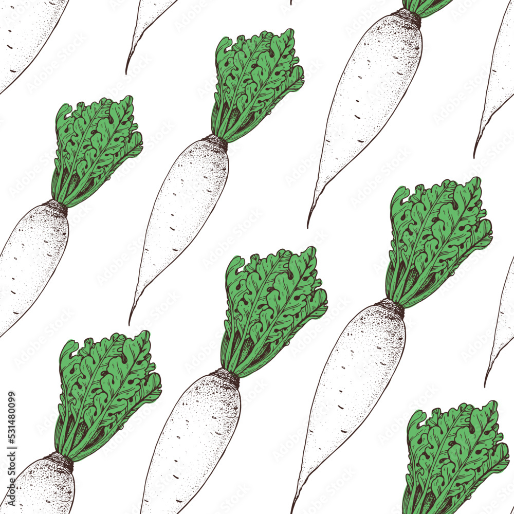 Daikon radish seamless pattern. Hand drawn background. Vector ...