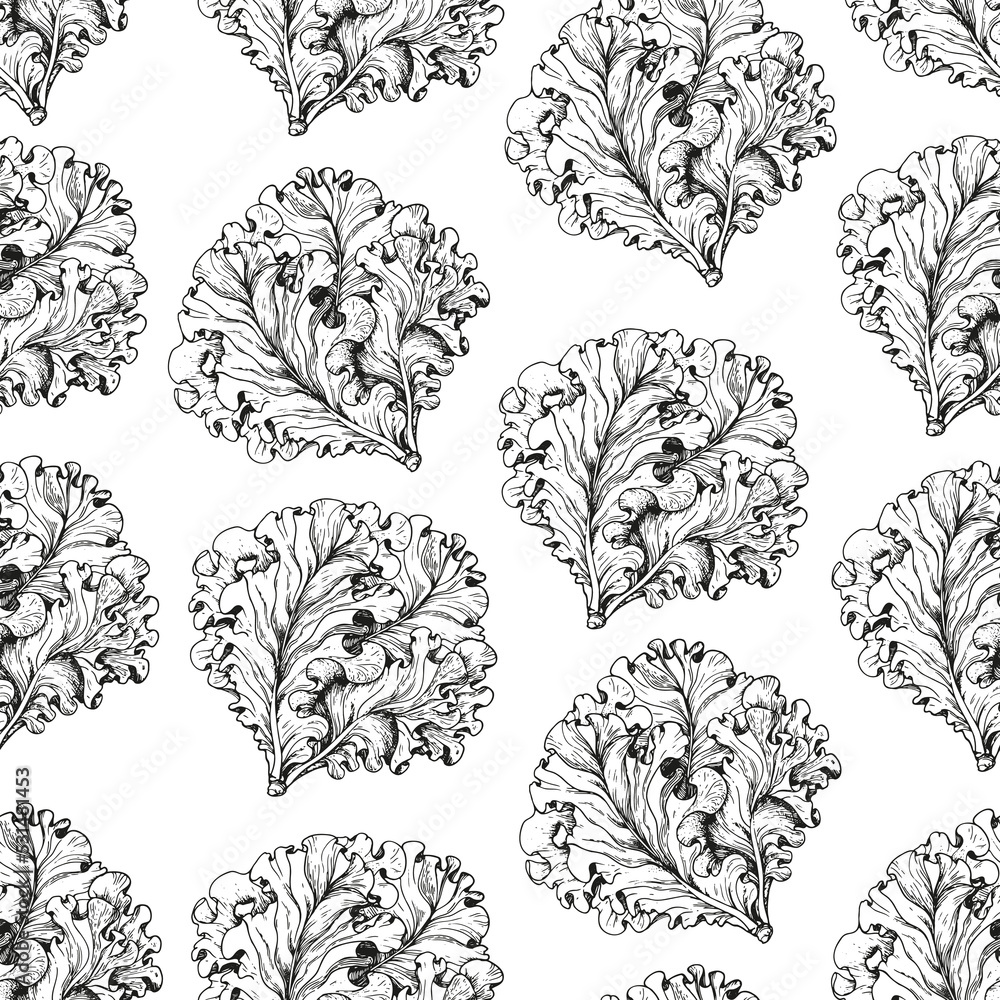 Lettuce seamless pattern. Hand drawn background. Vector illustration ... Lettuce seamless pattern. Hand drawn background. Vector illustration ...