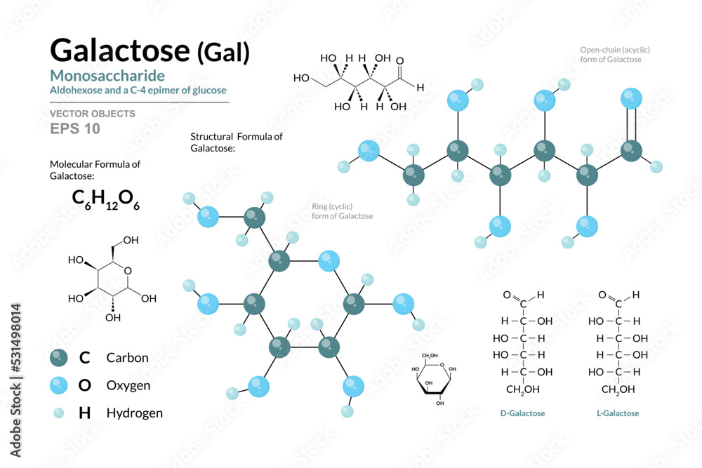 Galactose. Gal. Monosaccharide. Structural Chemical Formula and ...