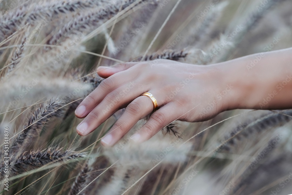 Prenuptial Qatar Sunset Hands Feet Sweet Couple Doha Marriage Married ...