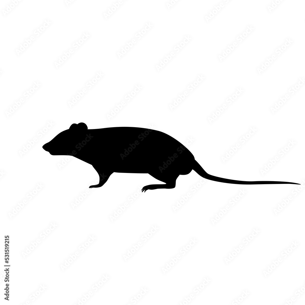 Black rat silhouette. PNG illustration. Stock Illustration | Adobe Stock