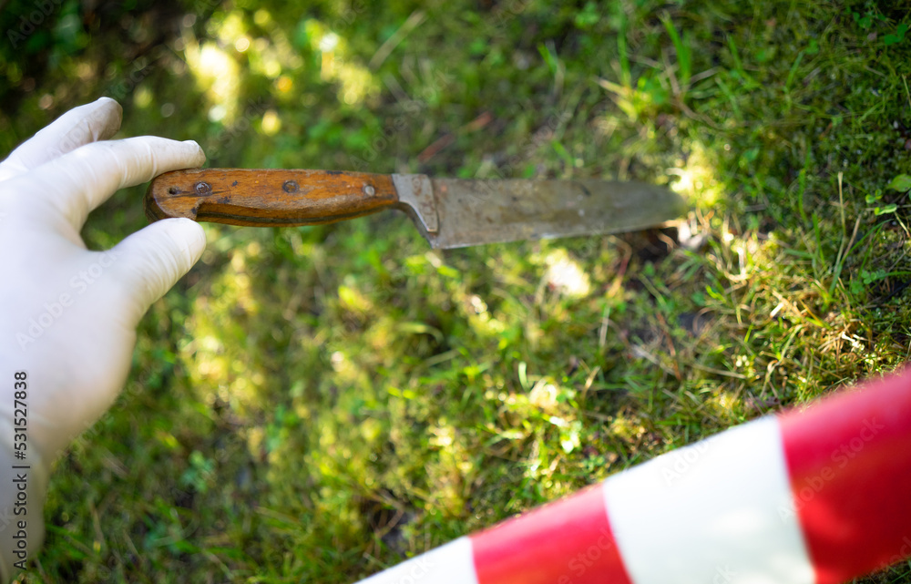 Murder weapon at the crime scene.The criminologist's hand in white ...