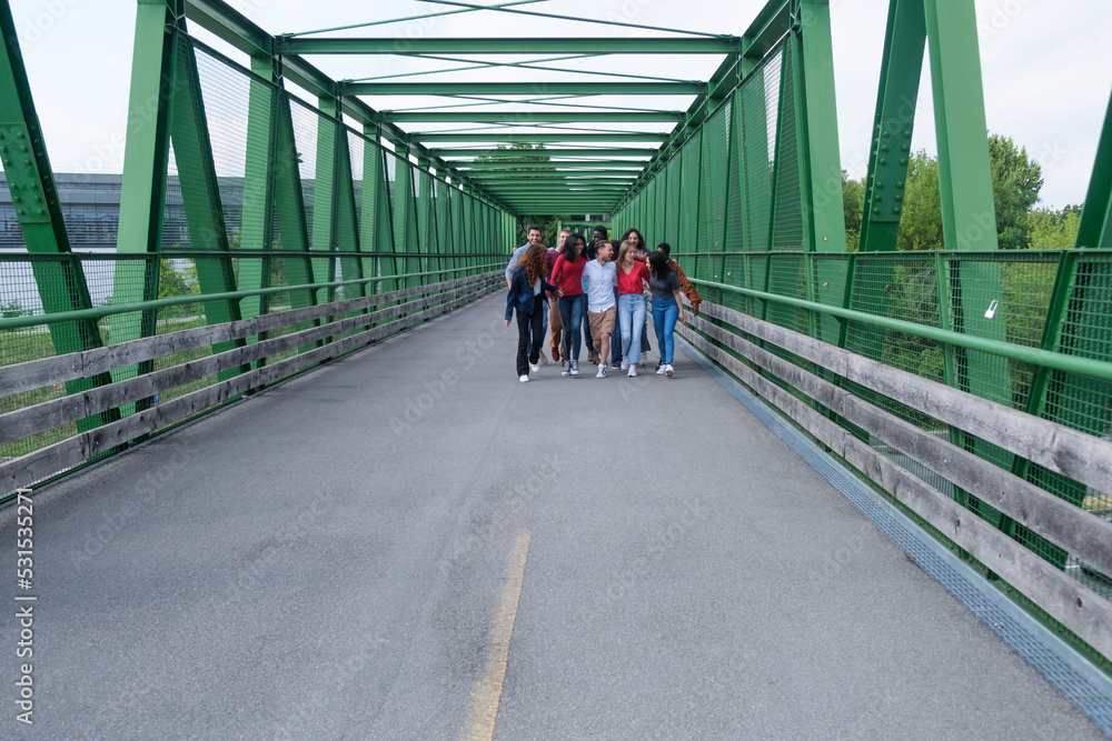 Group of young people of different nationalities walking together on a ...