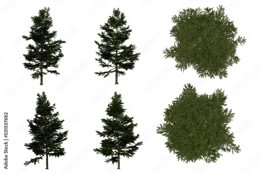 3d rendering of Larix Decidua PNG vegetation tree for compositing or ...