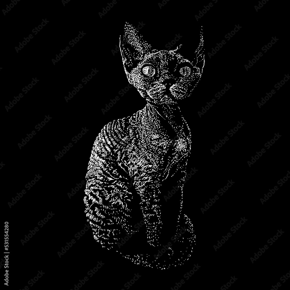 Devon Rex cat hand drawing vector illustration isolated on black ...