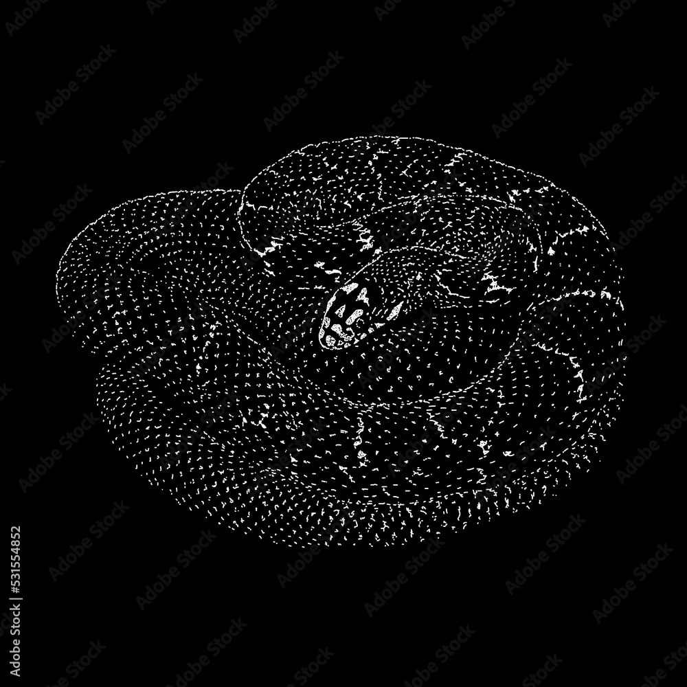 King Rat Snake hand drawing vector illustration isolated on black ...