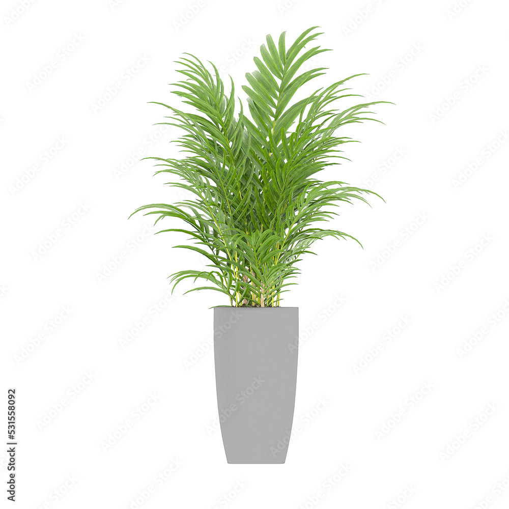 Plant, Plant PNG, Download Plant Transparent Background Stock ...