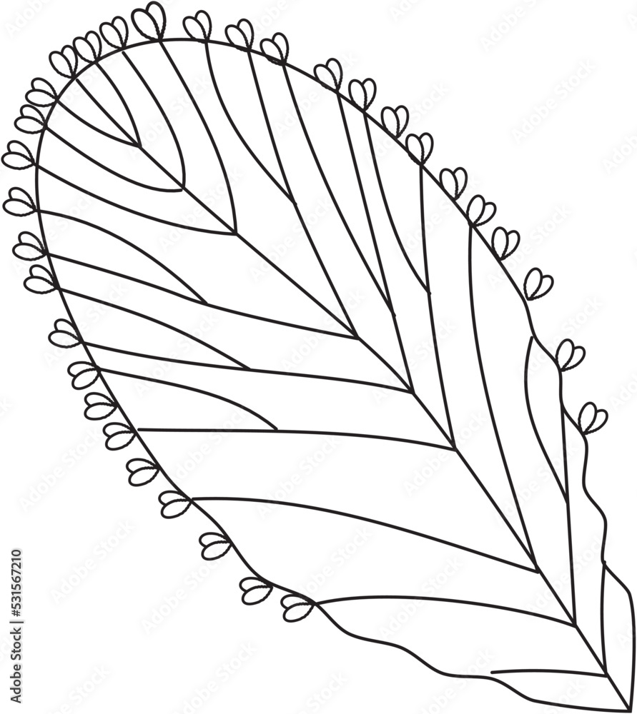 Kalanchoe pinnata bryophyllum leaf vector icon black and white Stock ...