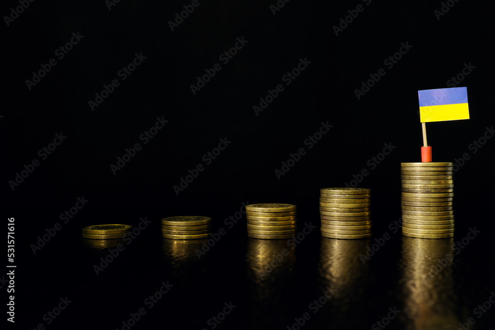 Ukraine economic growth, recovery after financial crisis and currency ...