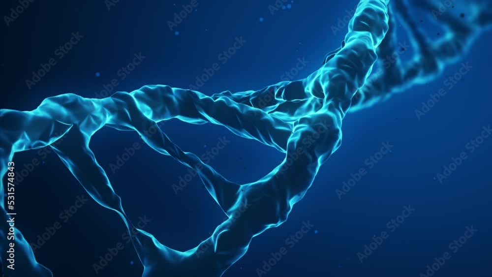 Abstract animated construction of a DNA. Concept animation DNA Medical ...