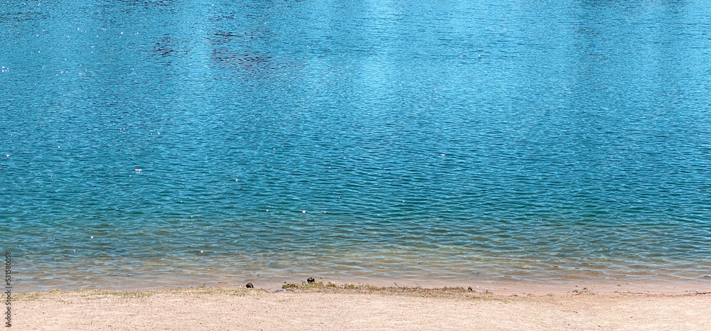 river shore beach water waves riverside shoreline sand lake nature ...