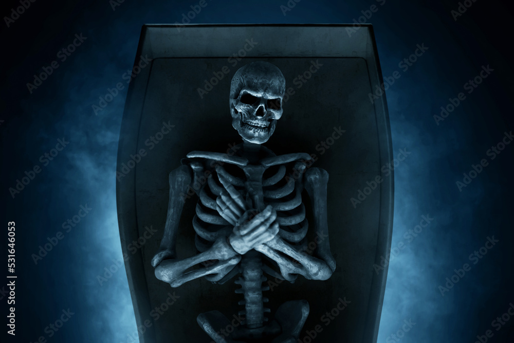 Human skeleton on dark background Stock Photo | Adobe Stock