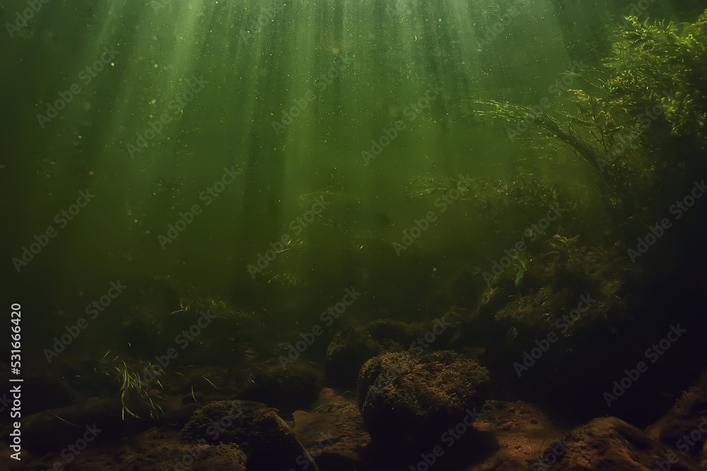 underwater fresh water green background with sun rays under, water ...