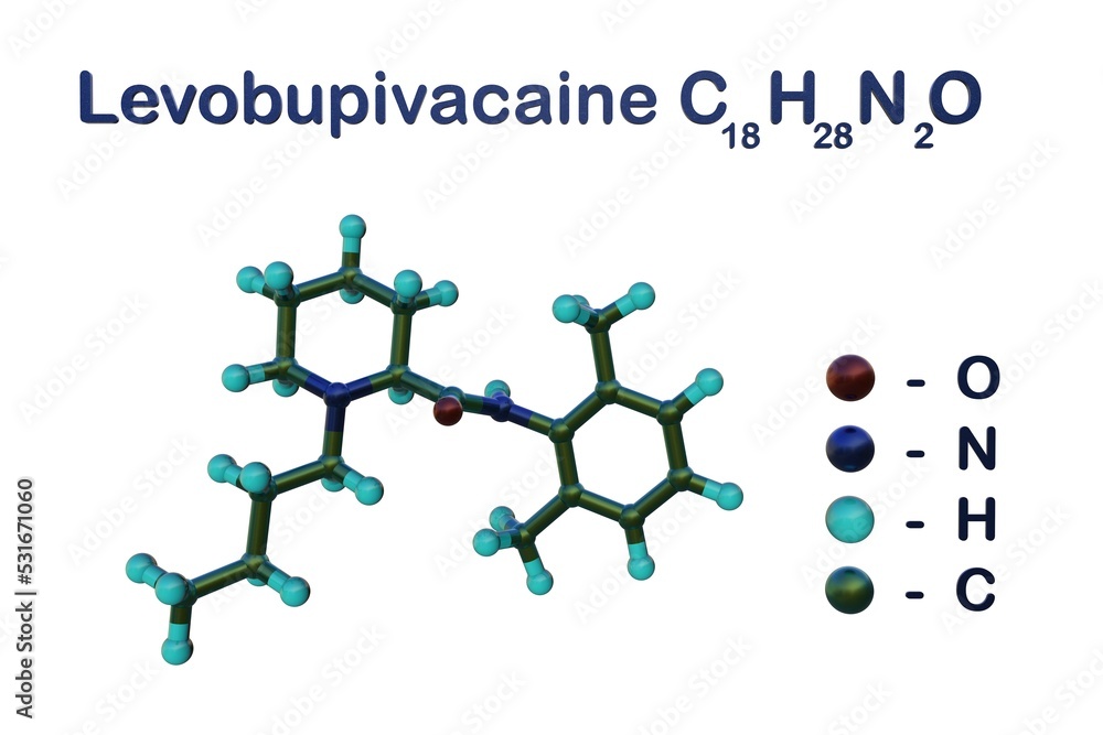 Structural chemical formula and molecular model of levobupivacaine, a ...
