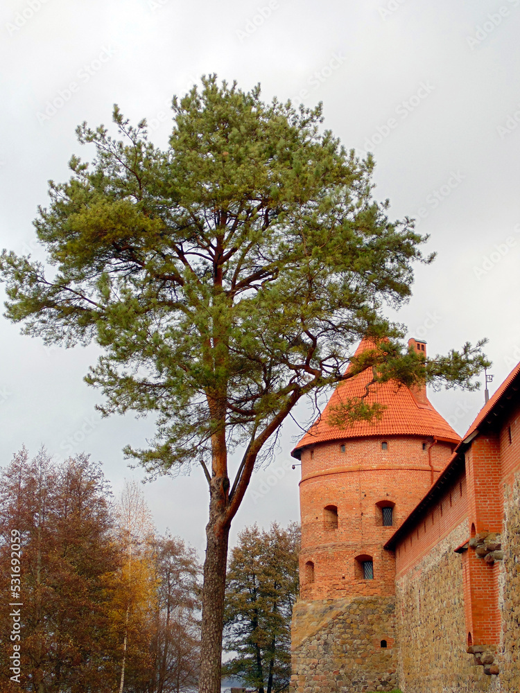 Beautiful autumn Lithuanian landscape with the tower of Trakai Castle ...