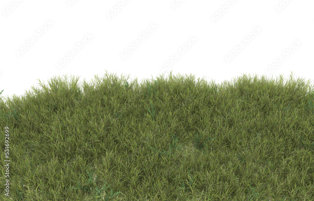 Grass on transparent background. 3d rendering - illustration Stock ...
