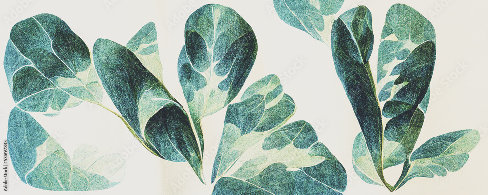 Spectacular pencil color drawing of light pale green leaf, transparent ...