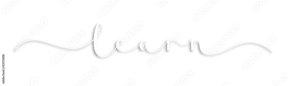 LEARN white brush lettering on transparent background Stock ...