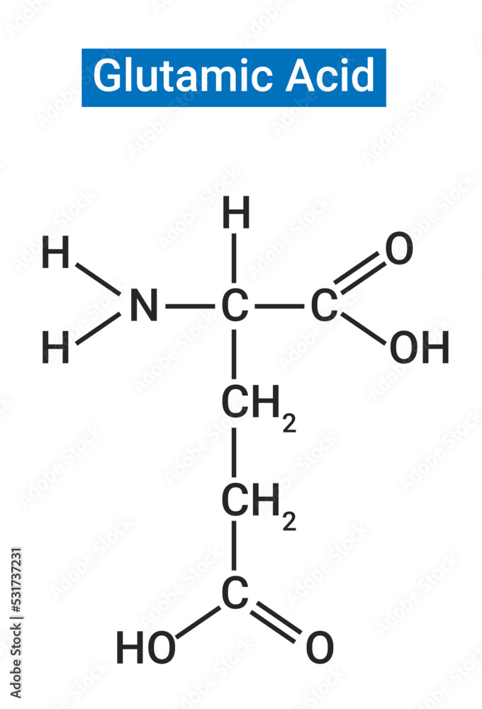 Chemical Structure of Glutamic Acid Stock Vector | Adobe Stock